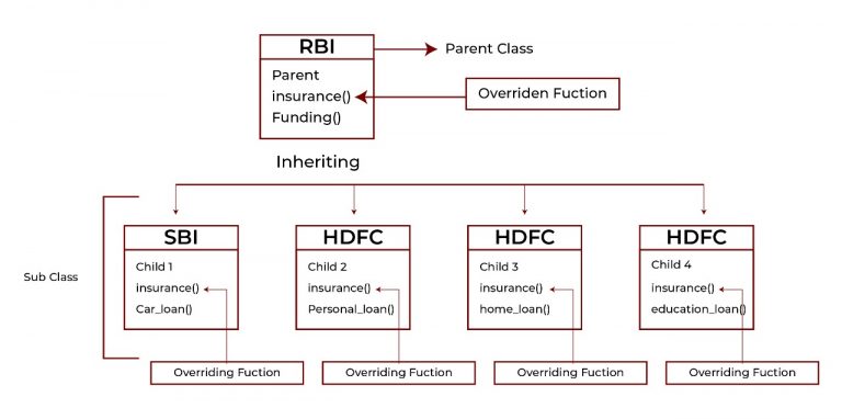 Function Overriding in C++: Master It with Examples